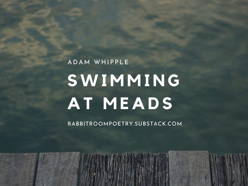 Swimming at Meads—Adam Whipple - by The Rabbit Room