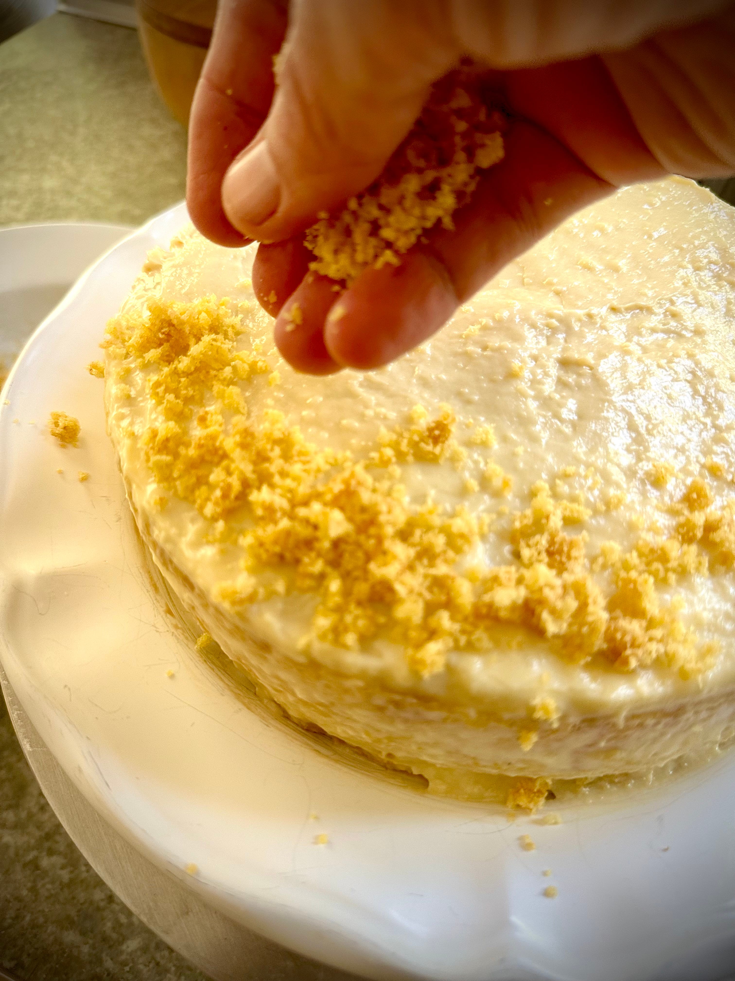 Sacripantina Cake with Pastry Cream, Marsala and Amarena Cherry Syrup