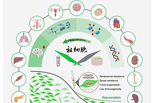 Arnaud Bertrand | Substack