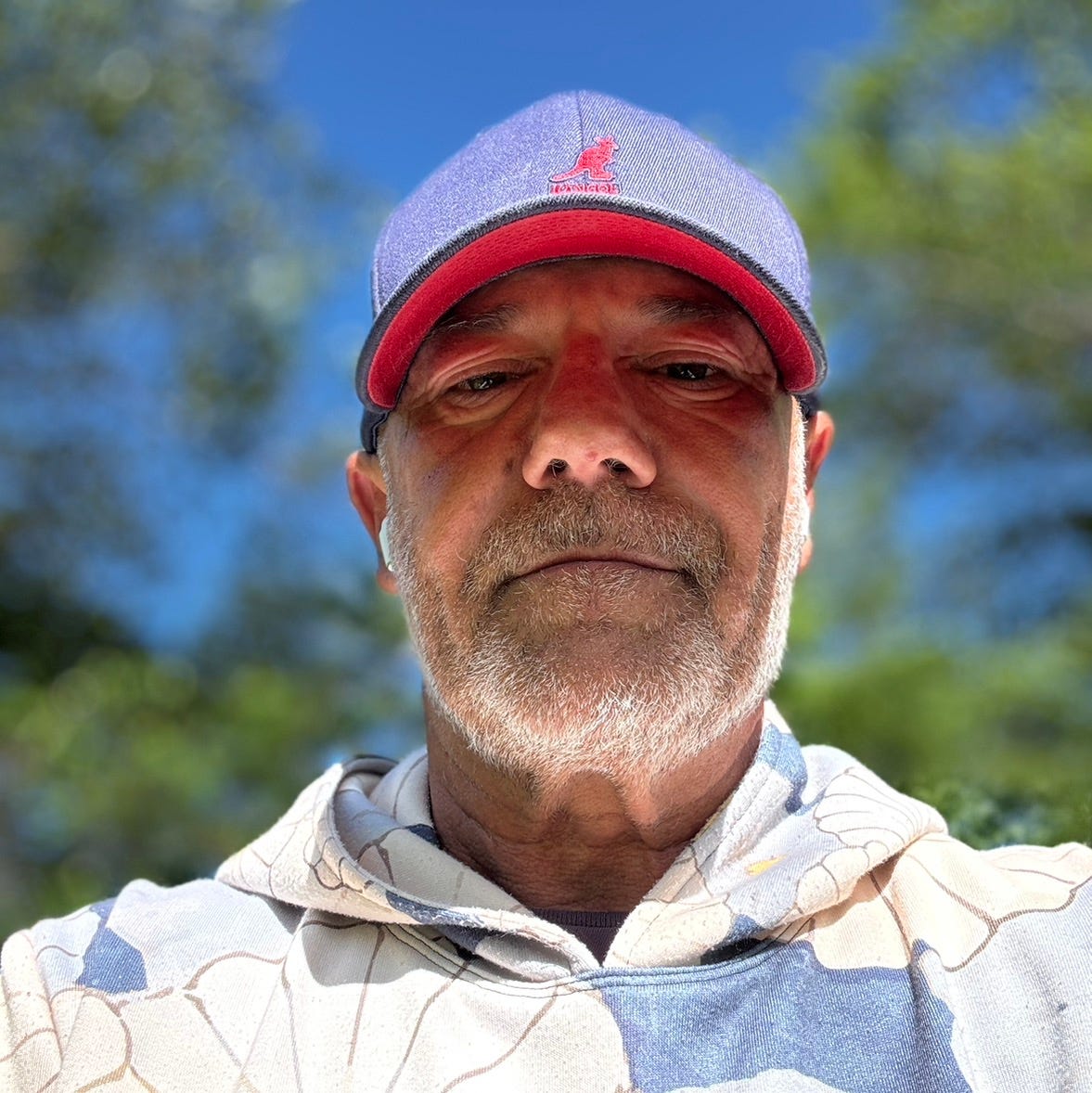 Andrew Sullivan | Substack