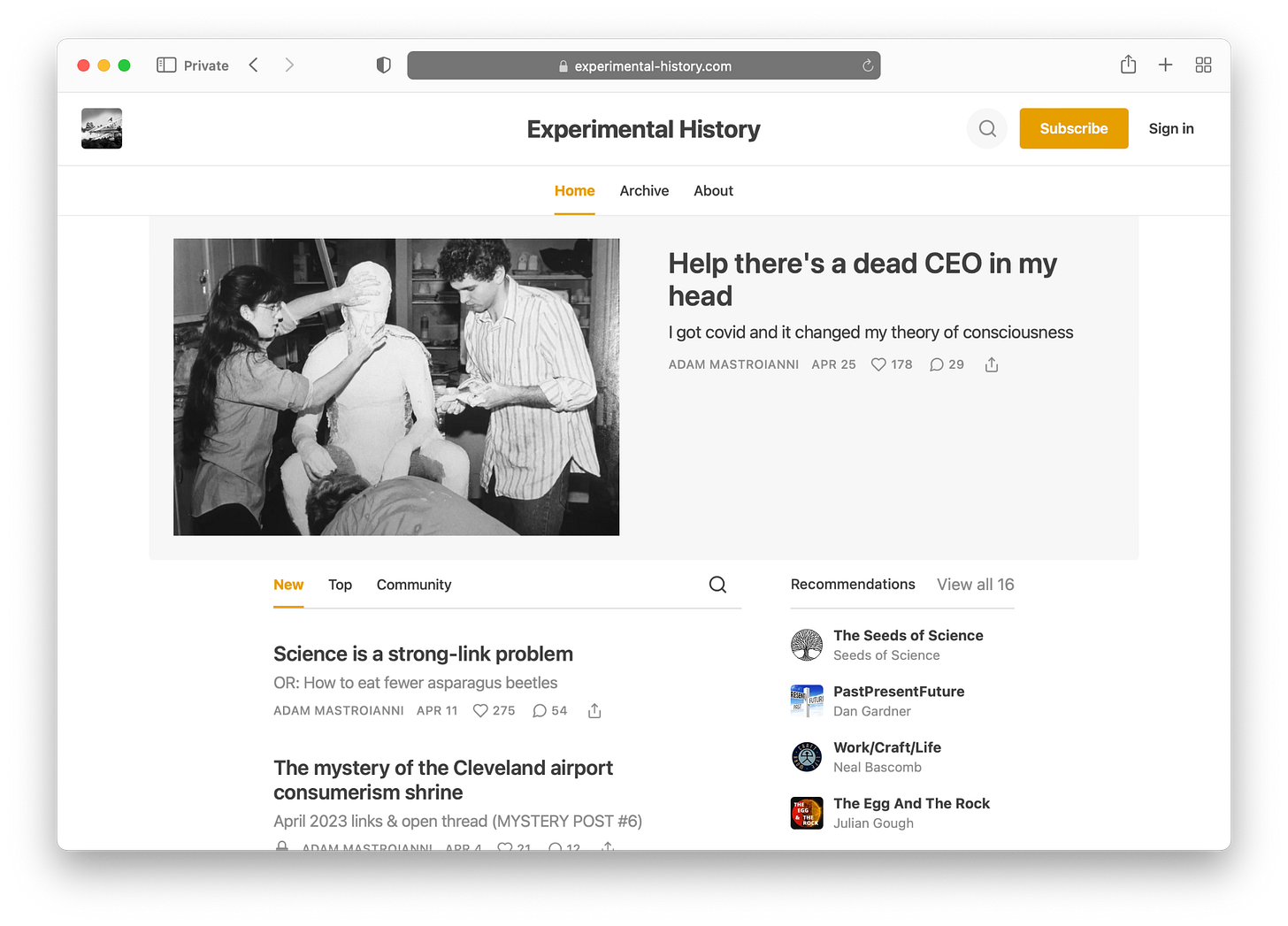 A guide to customizing and organizing your Substack website