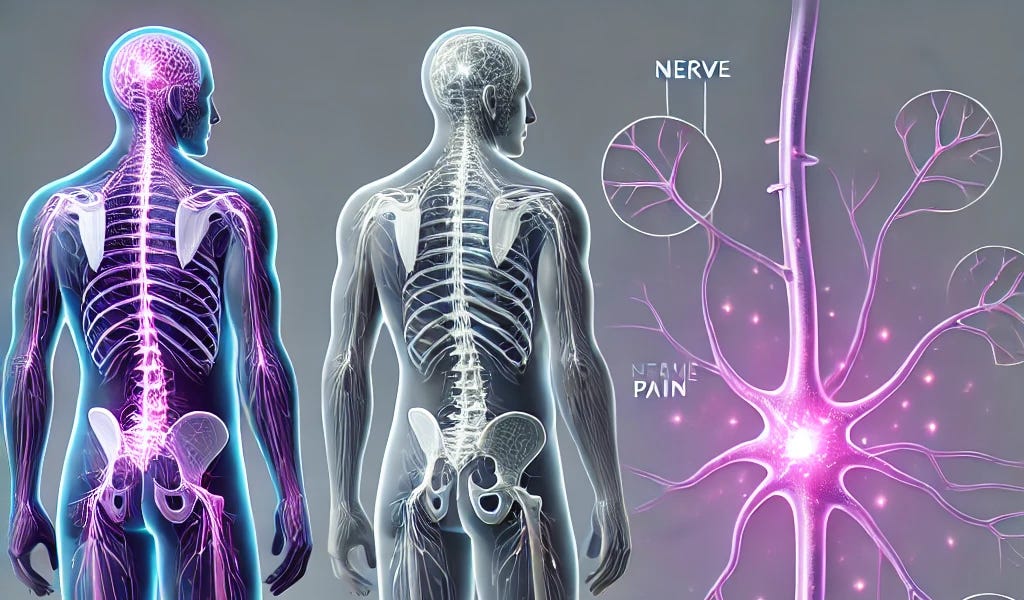 “Understanding Nerve Injury: A Practical Guide to Nerve Injury ...