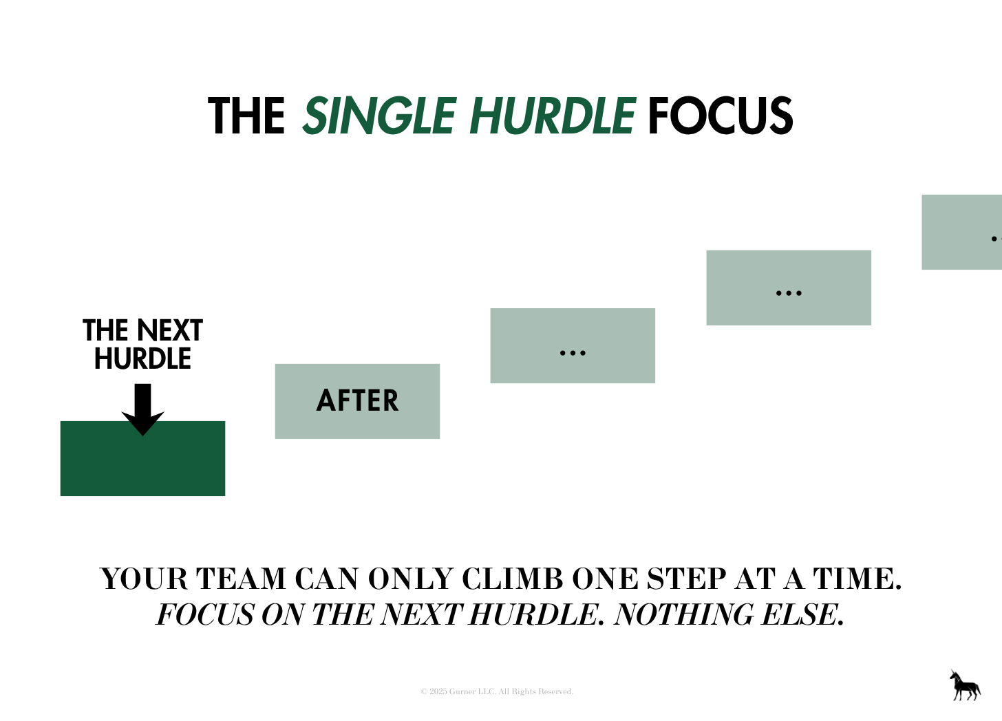 Single Hurdle Focus - by Dr. Julie Gurner
