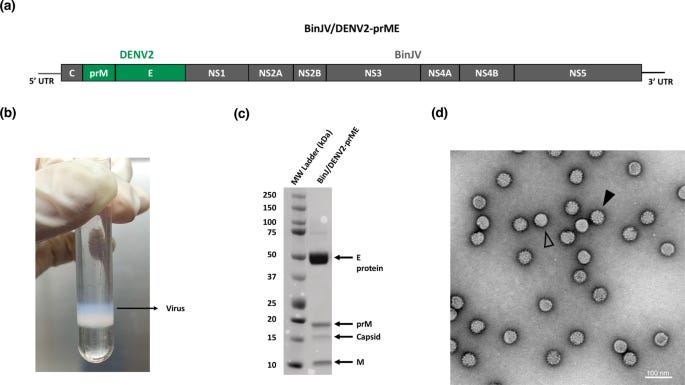 Eliminating Nanotech - Dr. Nicholas Corrin's Newsletter