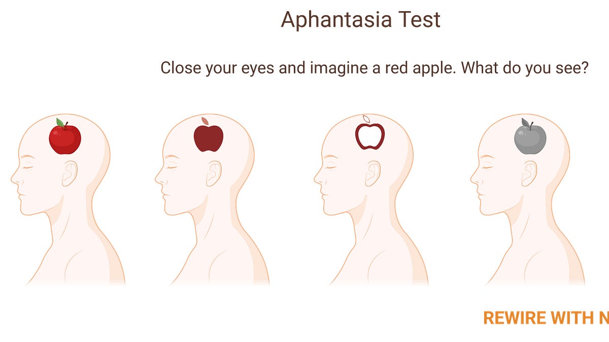 no internal visualization
