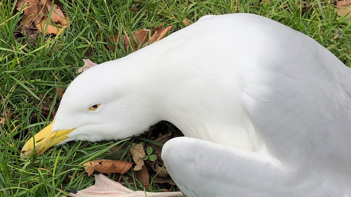 Journal - The same date in changing years - January 24th