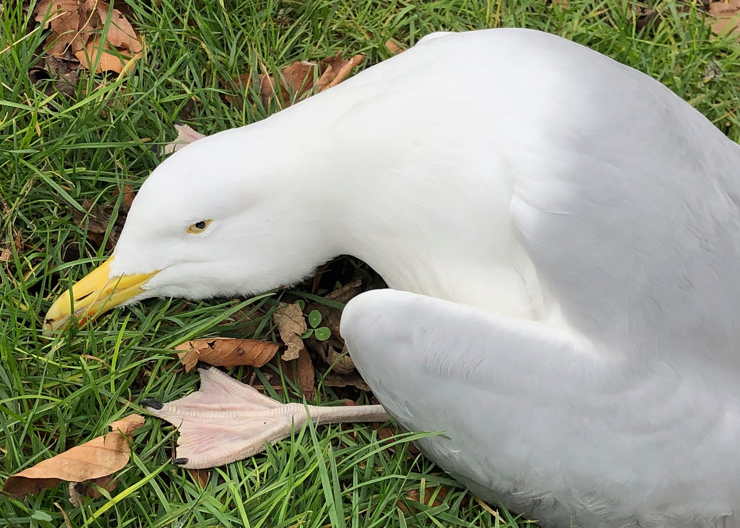 Journal - The same date in changing years - January 24th