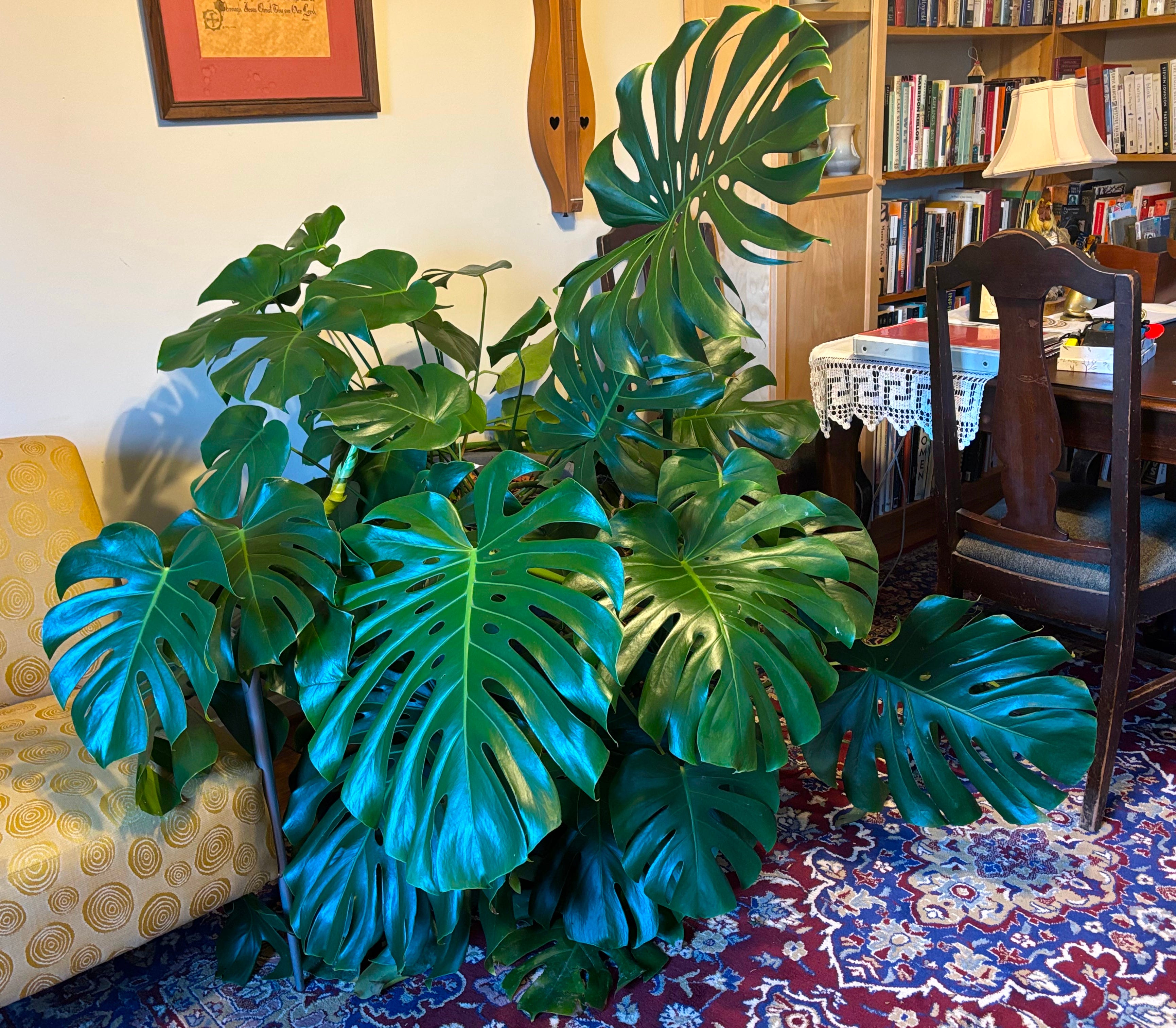 Monsters in the House - by Gary Childs - Gary’s Writing