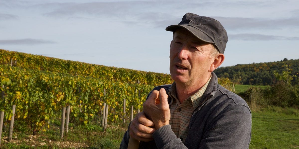 benedicte bourguignon