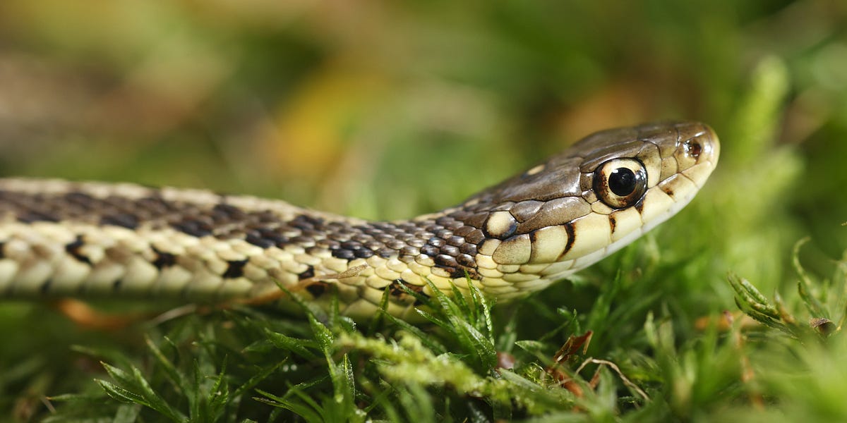 The Media Matrix | Full Documentary - by Doreen