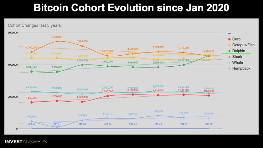 RECAP: ₿ITCOIN WEALTH PYRAMID - InvestAnswers Newsletter