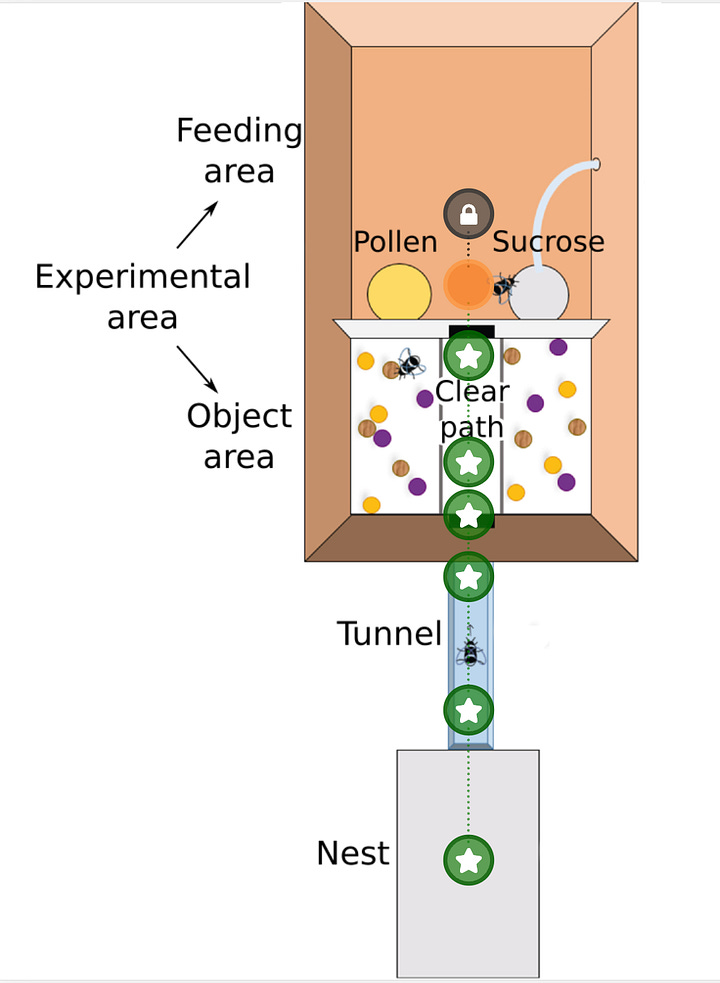 interactive science resources
