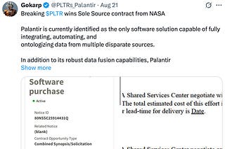 Palantir Bullets | Arny Trezzi | Substack