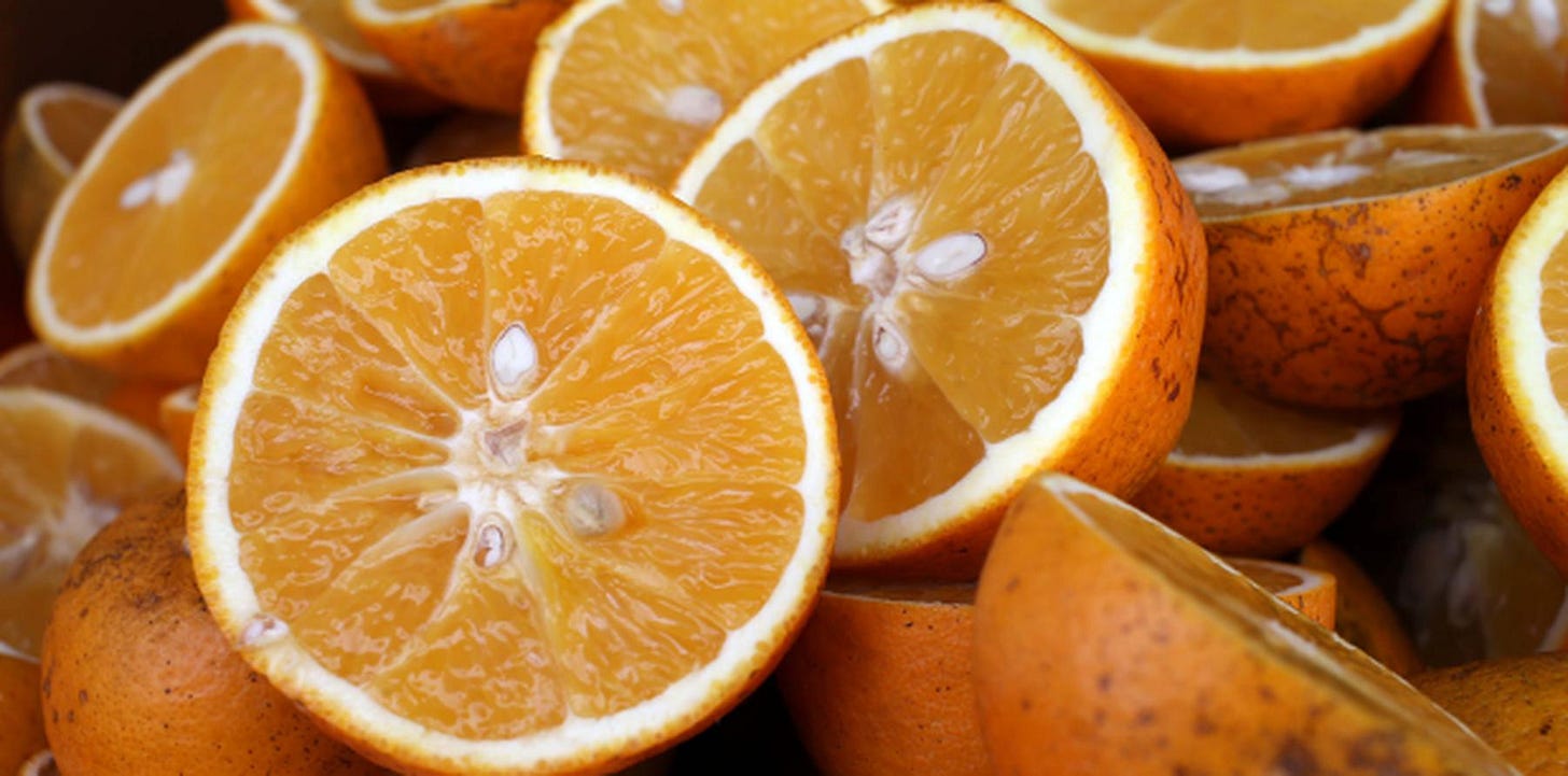 How Did Oranges Get to Puerto Rico?
