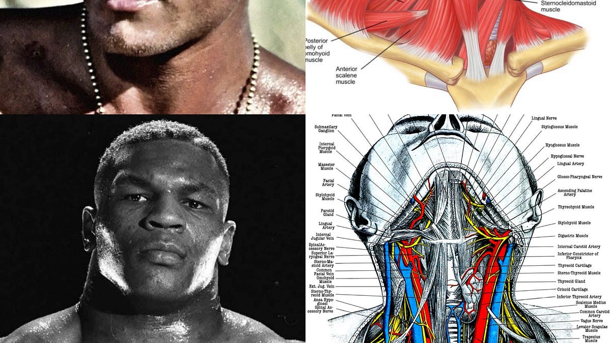 The Neck: Your Hidden Superpower for Dominance, Attraction, and a ...