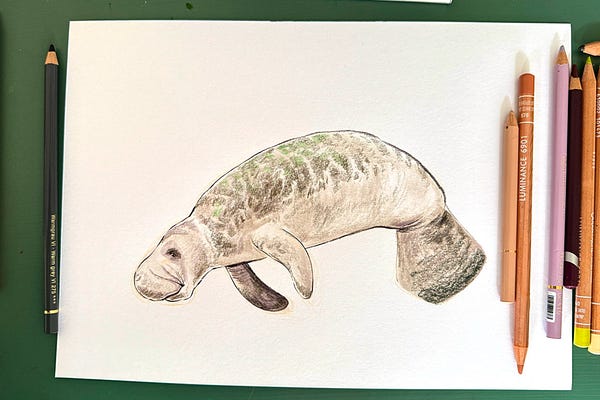 Creative Cocoon Art Club | Pauline Teunissen | La Scarlatte | Substack