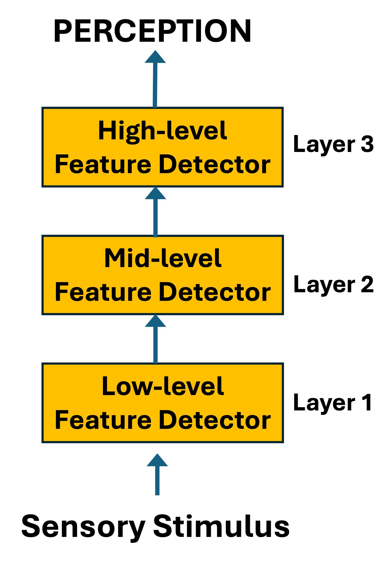 The Case For World Models, Part I: The Neuroscientific Reason