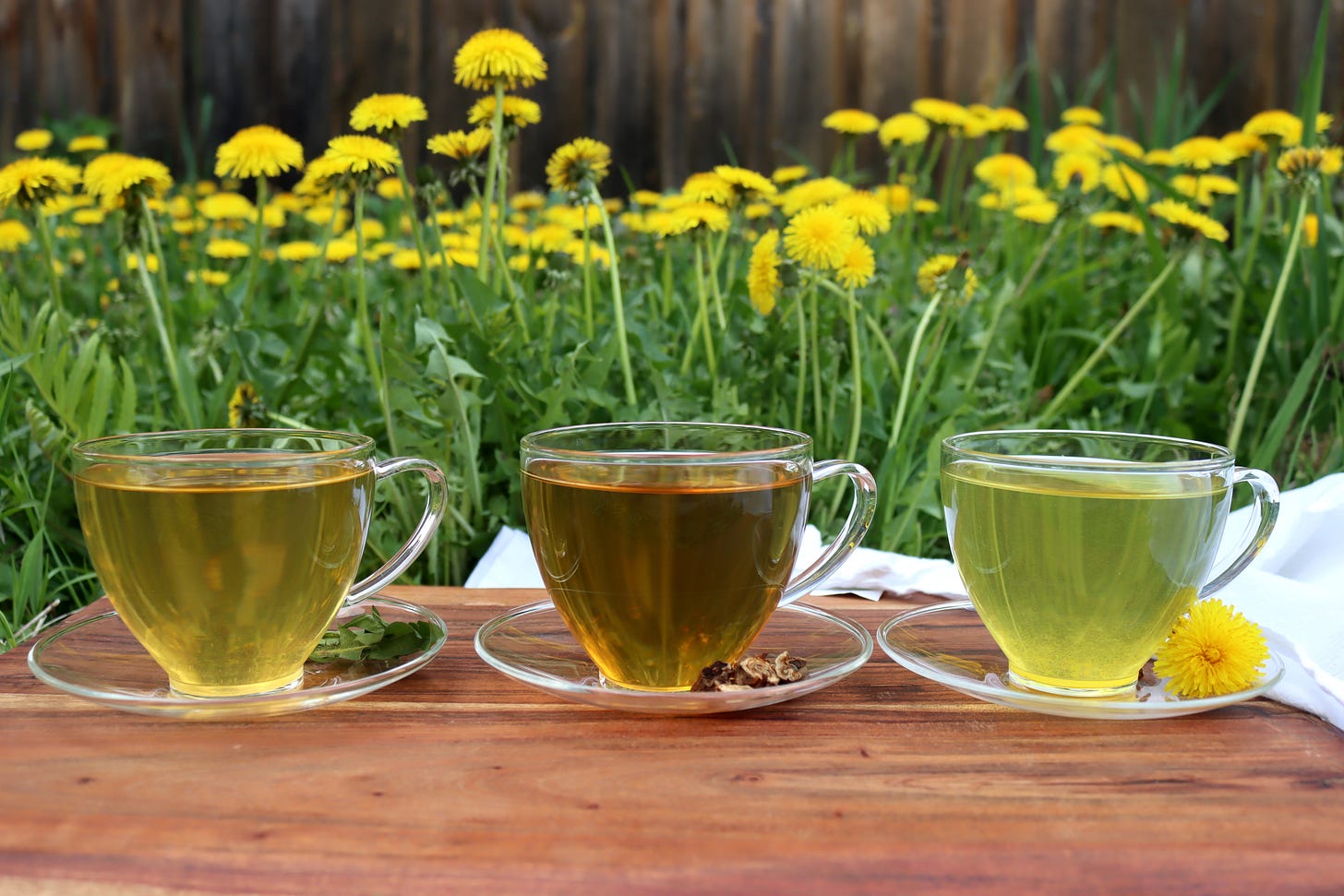 Dandelion Recipes & Remedies - by Ashley Adamant