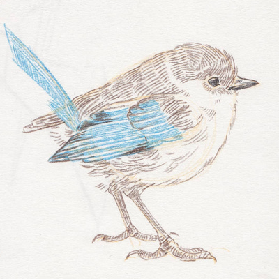 Kristie Millan | Substack