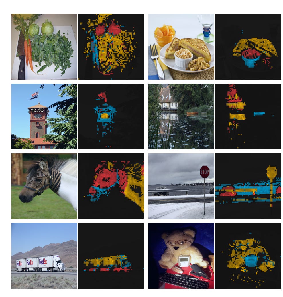 DINO Explained: How Self-Supervised Learning Unlocked Vision Transformers