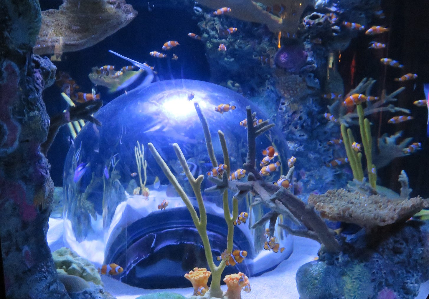 Lightkeepers, Episode 9: Escape From Ecstasia!