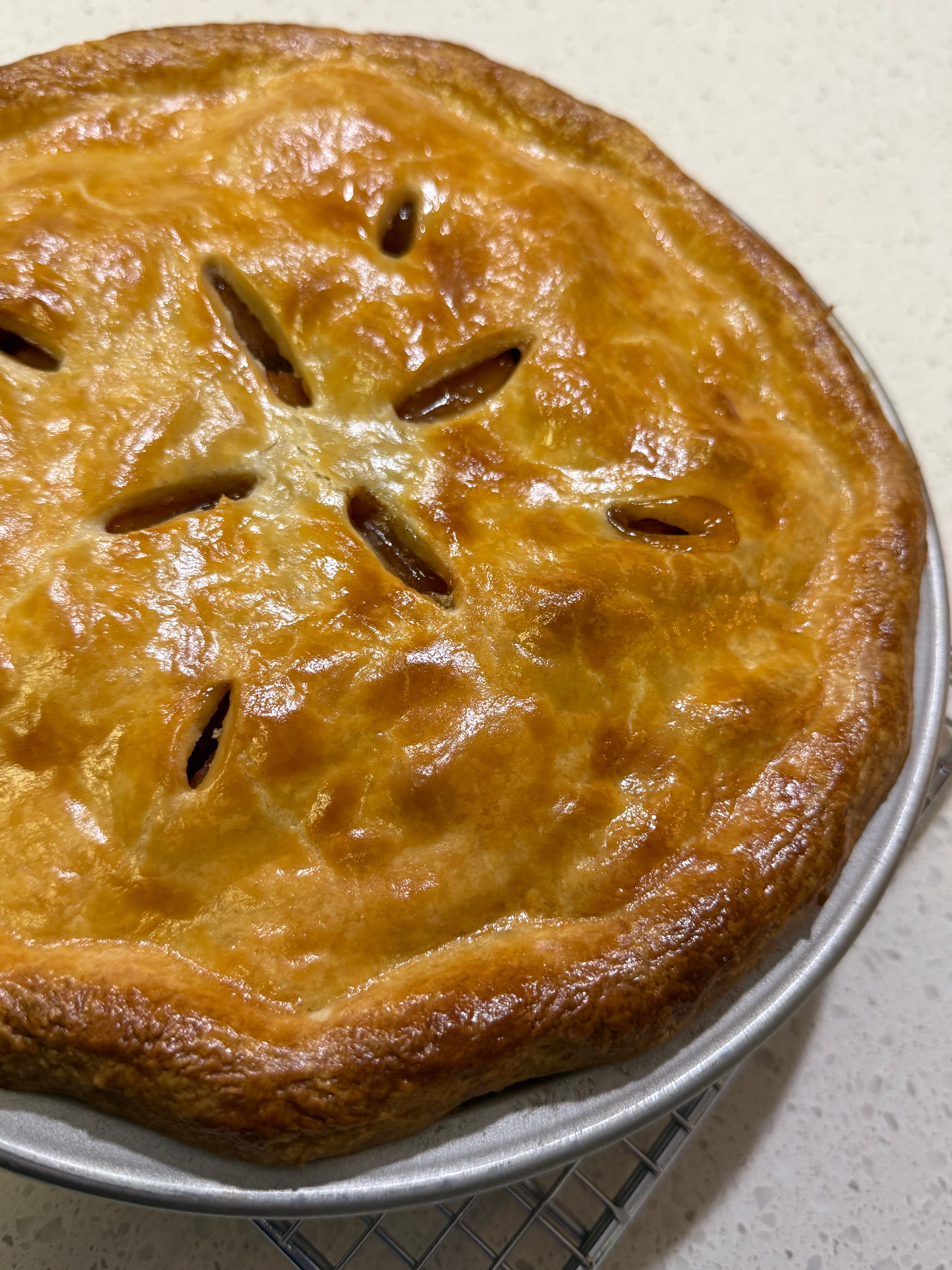 Trains, No Planes, No Automobiles - by Linda Naylor