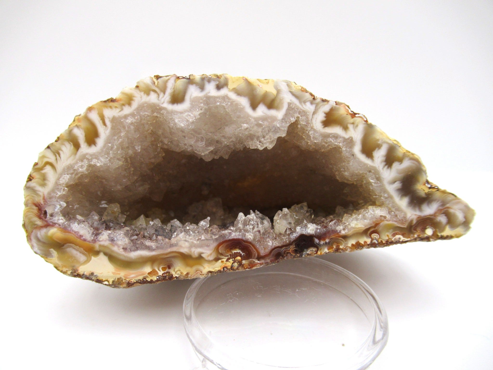 The Secret Life of Geodes - Ashley Cowles