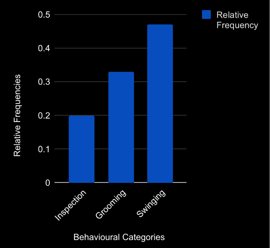 Exploring Orangutan Behavior - by M.M.Khan - Mustafa Writes