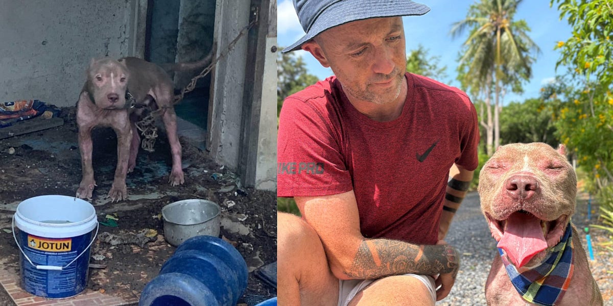 Comments - Rethinking Everything - by Niall Harbison