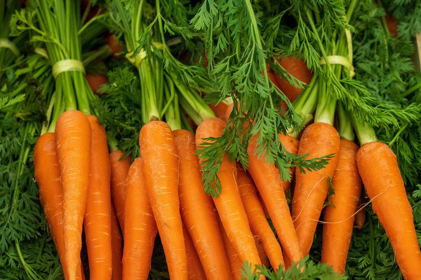 Do Carrots Really Improve Night Vision? - by Bashir