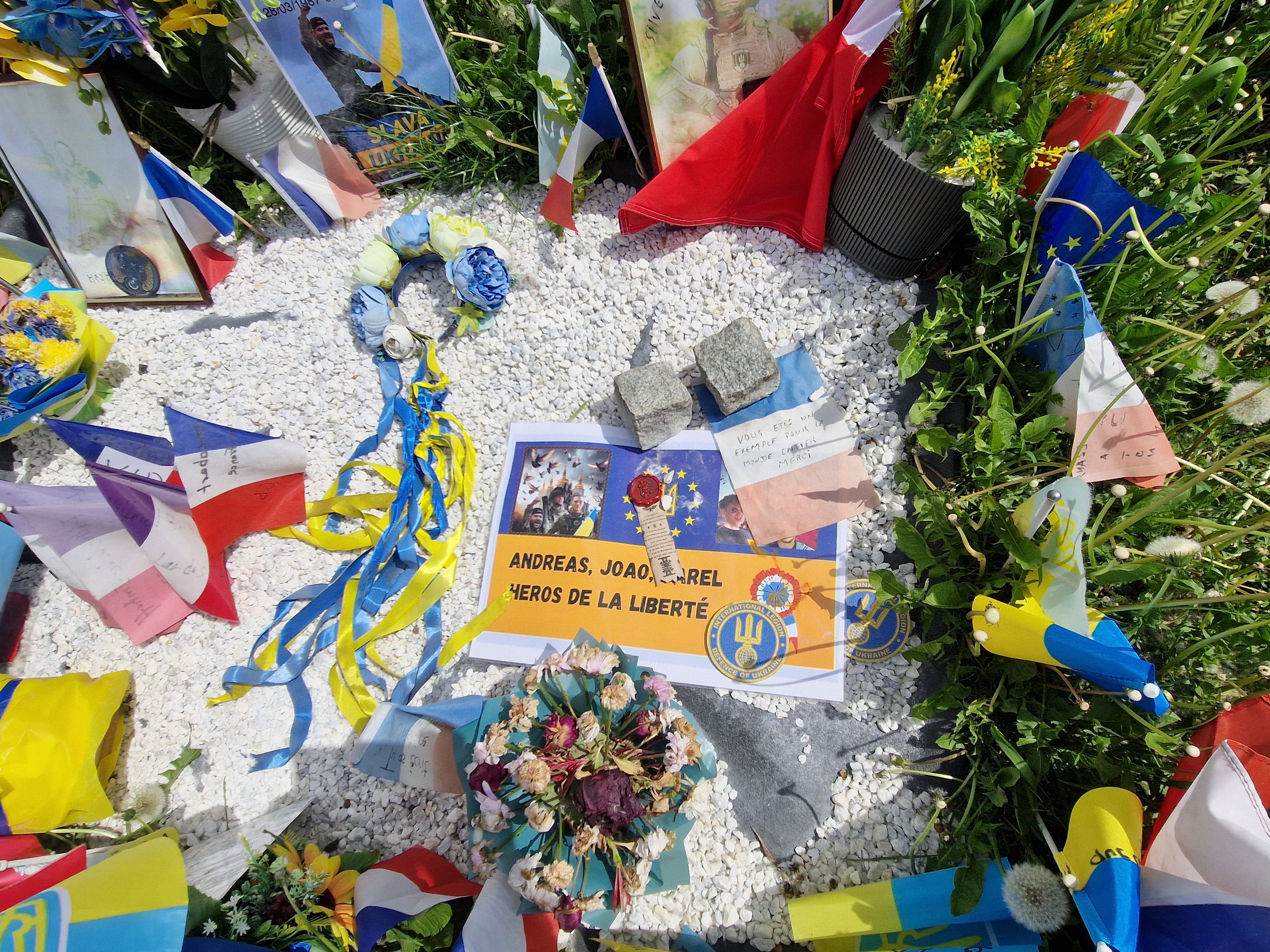 The Coalition of the Willing: Glass Half Empty or Half Full?