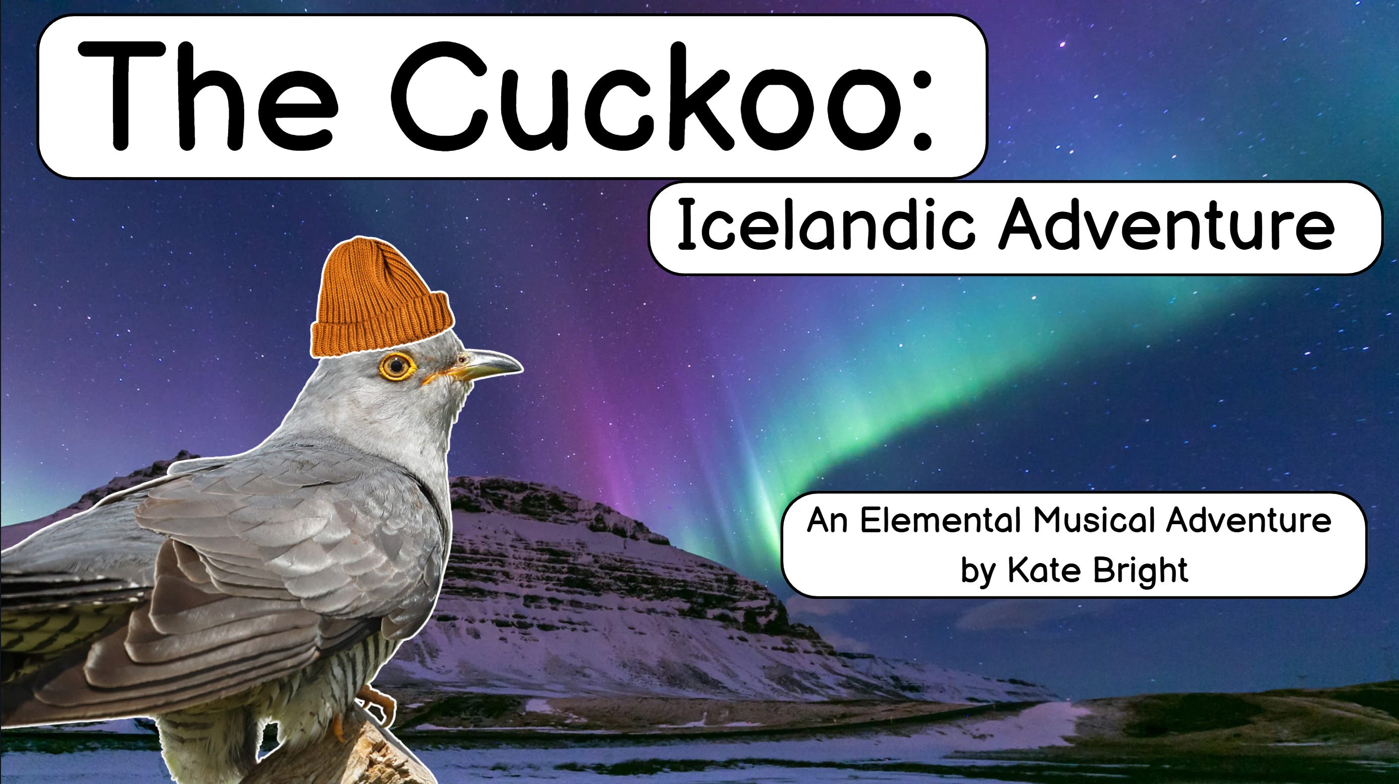 Cuckoo in Iceland & a Winter Round-up - by Kate Bright