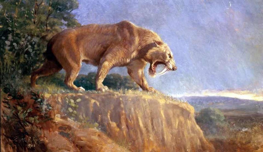 Terror Birds: Apex Predators of the Cenozoic