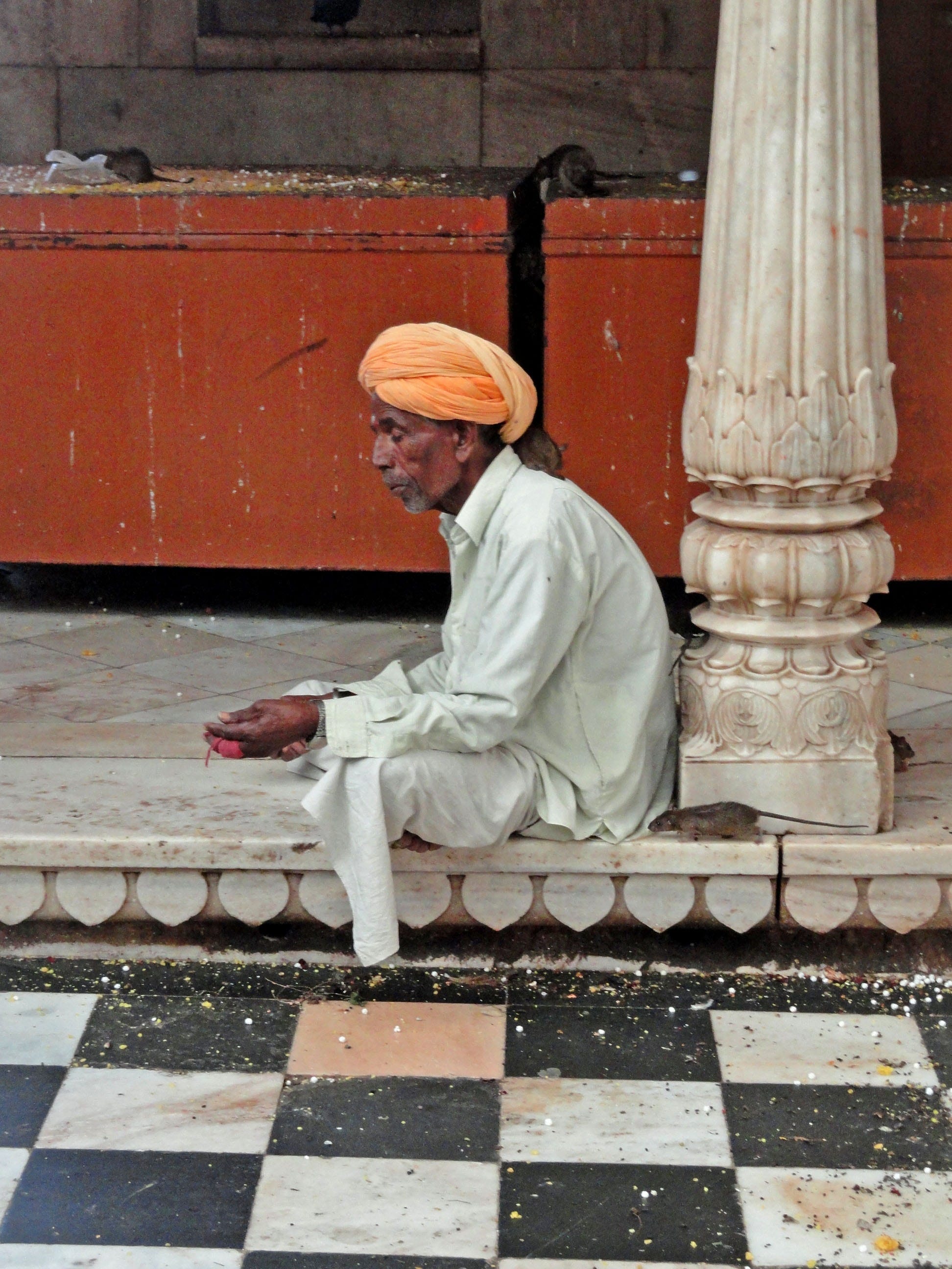 Karni Mata Rat Temple in Photos - by Darren Weir