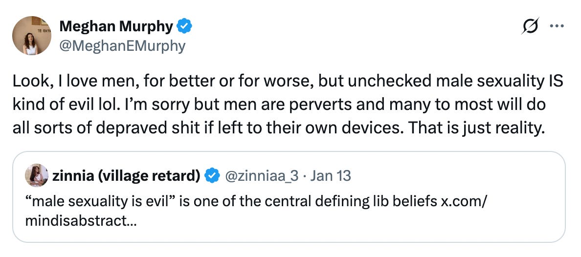 Male sexuality is policed for a reason - by Meghan Murphy