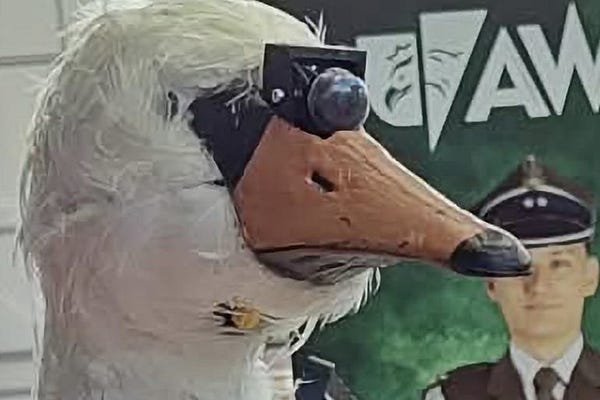 Eyes Only with Wes O'Donnell | Substack