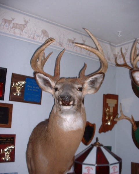 How do I score a deer? - The Kokomo Lantern