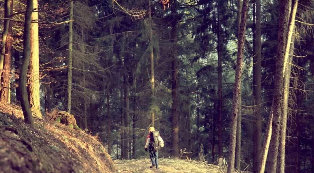 Missing 411: Unexplained Disappearances in the Wilderness