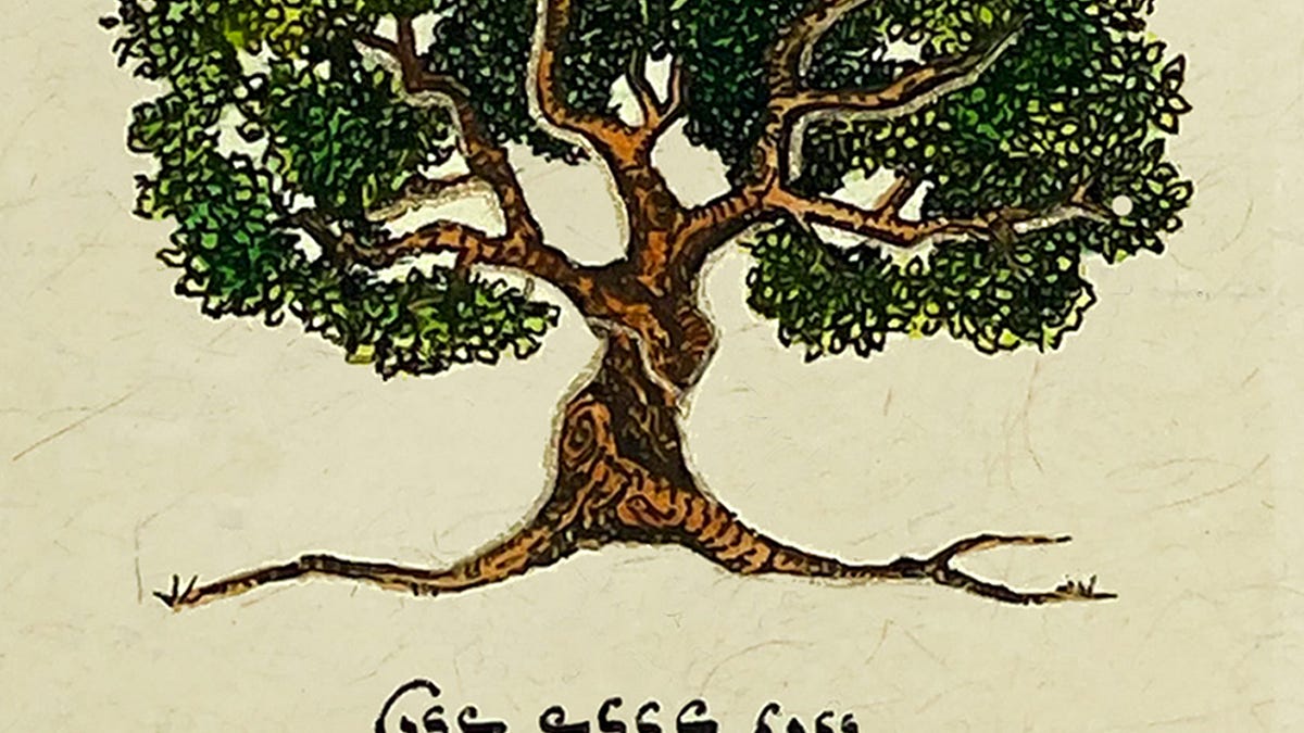 The New Year of the Trees - The Badger Track