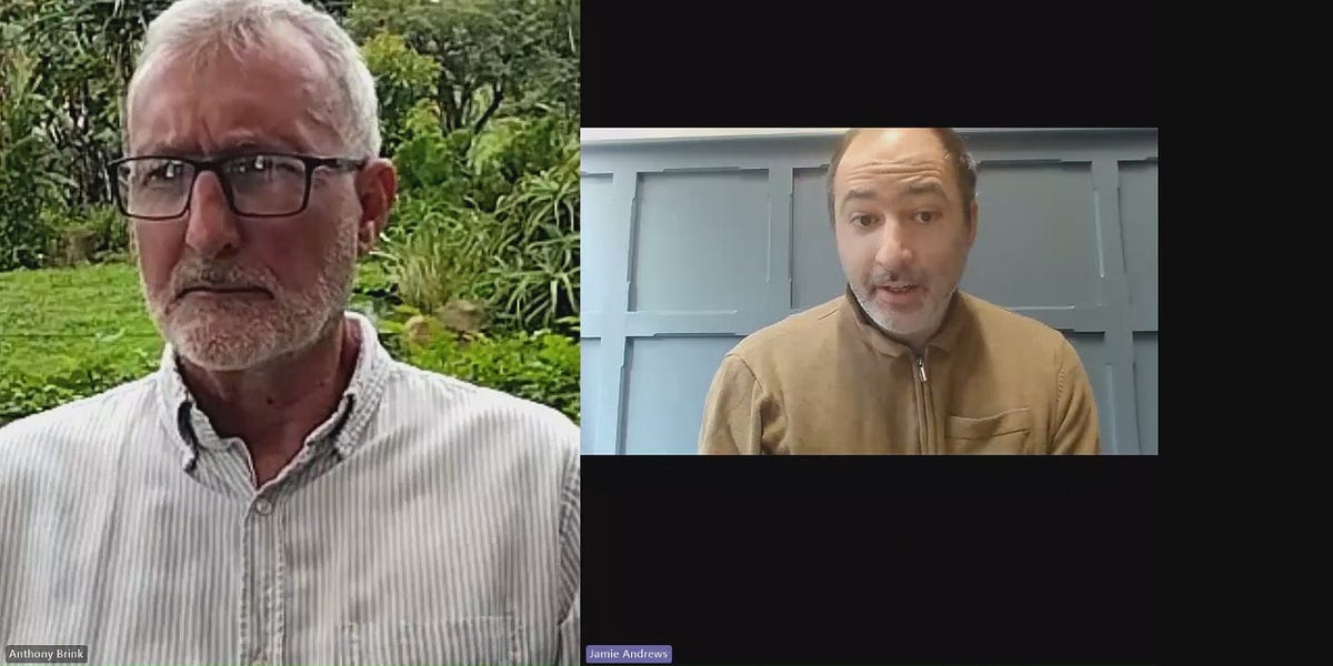Interview with Anthony Brink on the Perth Group, AZT and the HIV scam.