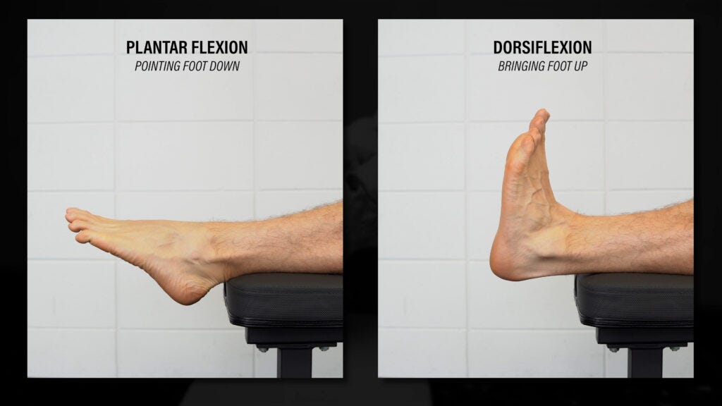 What to Expect from Players After a Tightrope Procedure