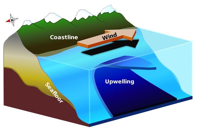 The Ocean's Invisible Elevator: How Upwelling Fuels California's Marine ...