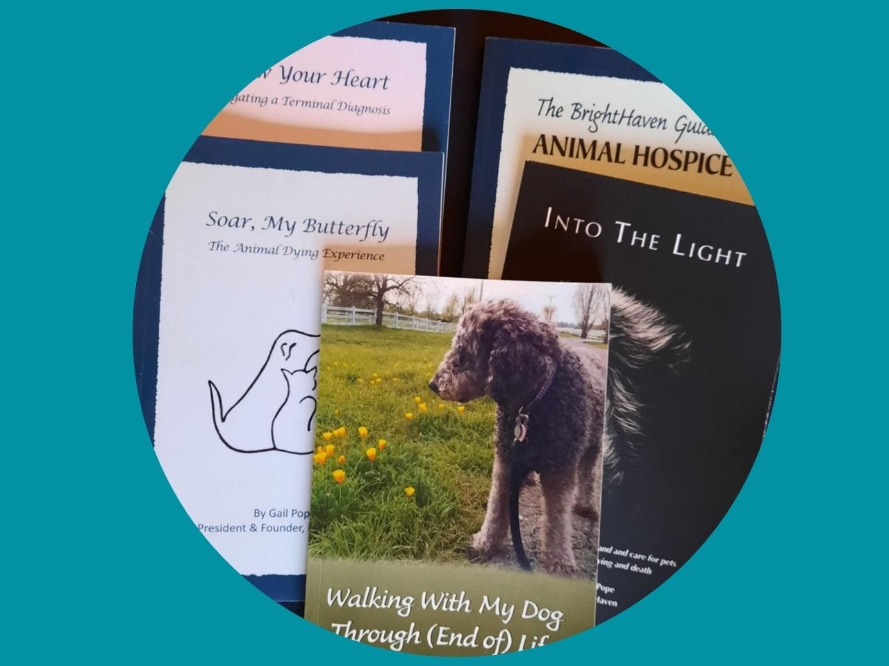 When “Just Ask the Animal” Isn’t Enough: Why Specialising Made Me a ...