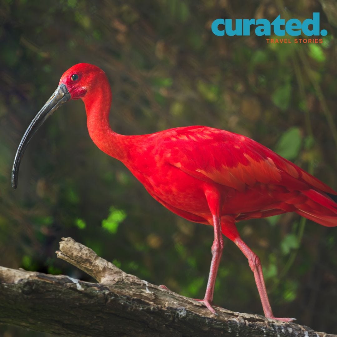 Nature, Culture, and Conservation: HADCO Experiences Redefines ...