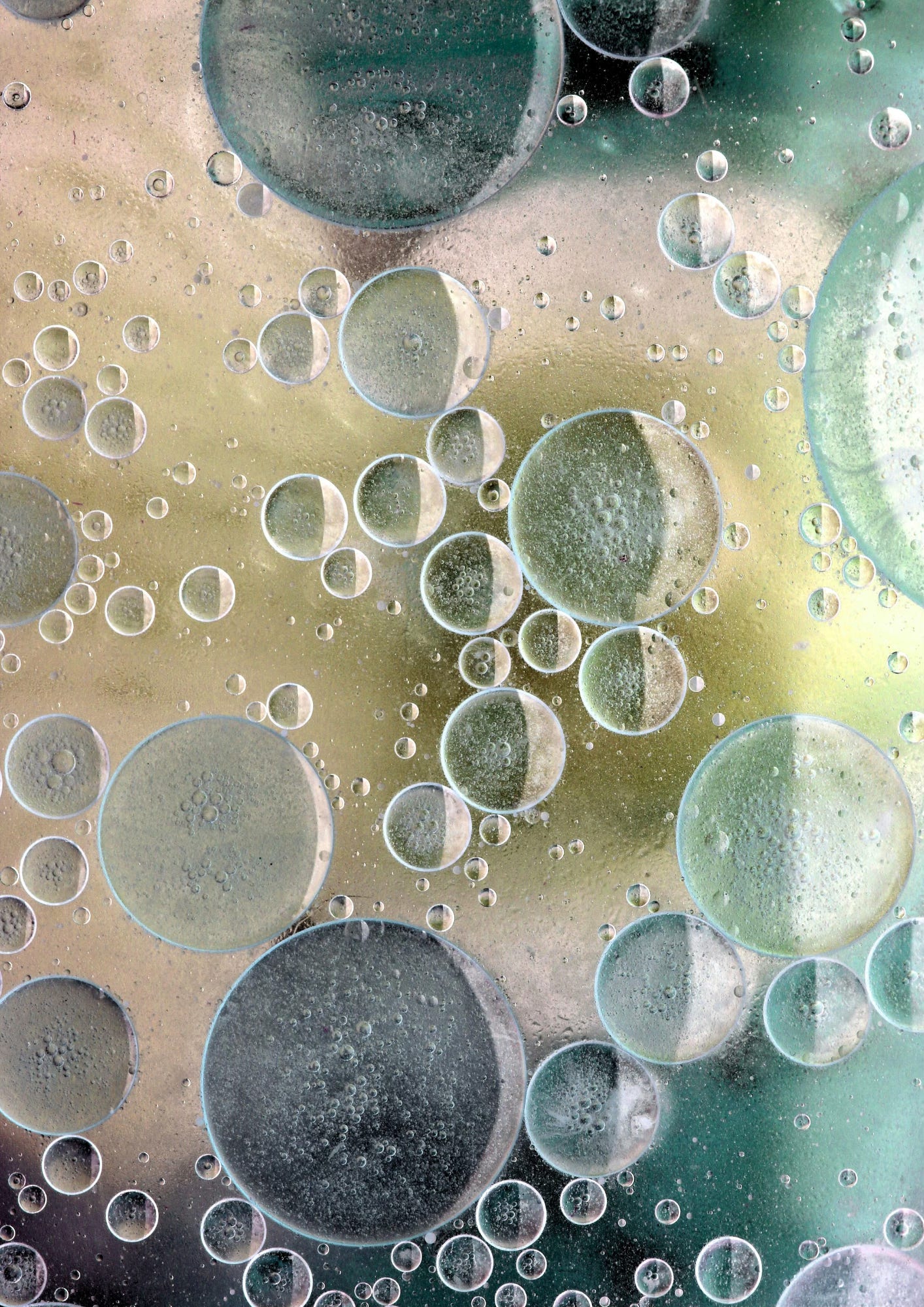 The Art of Dilution - Kamila Aubre