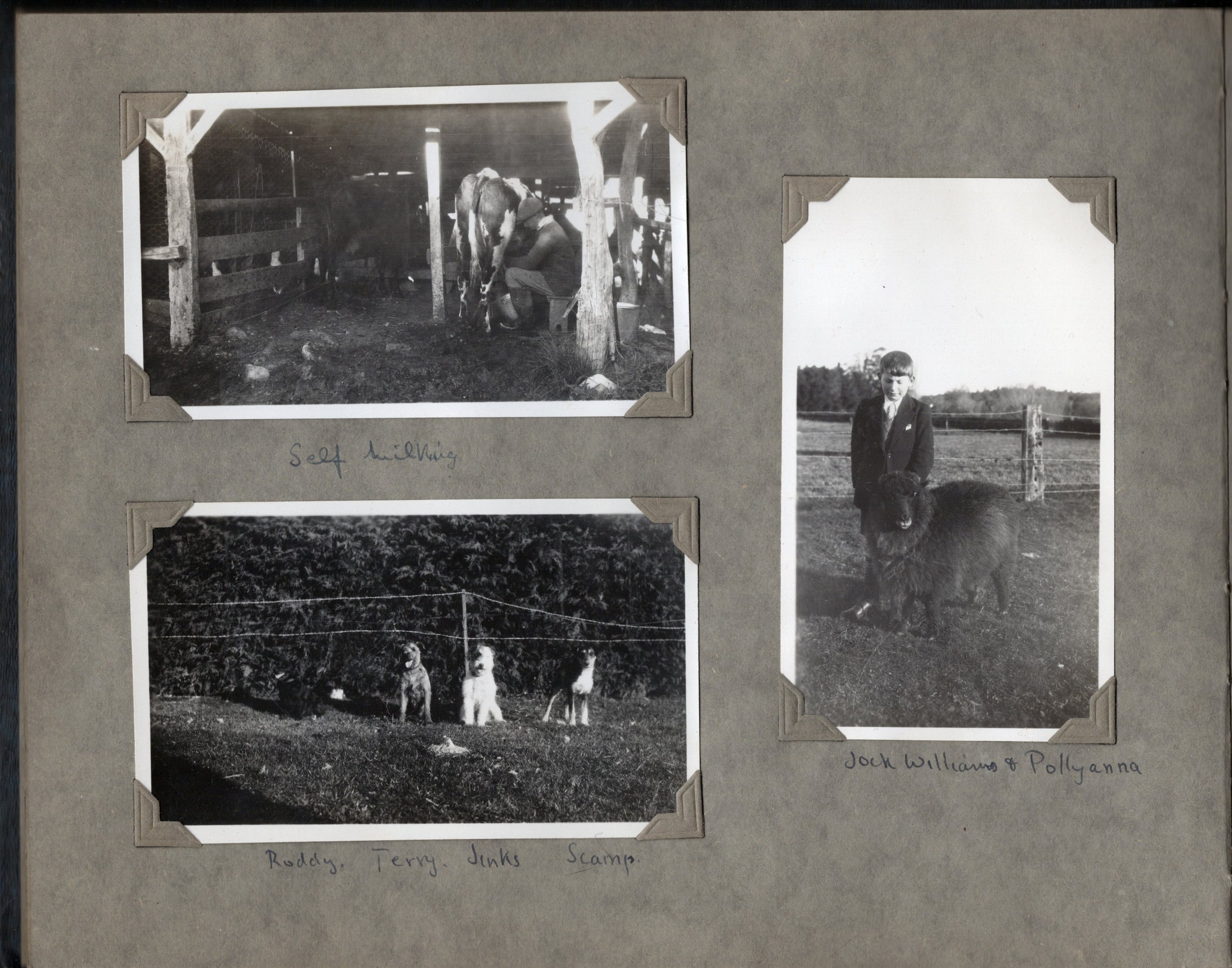 The Godfrey album - by The Fake History Hunter