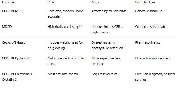 Understanding eGFR: What It Really Means for Your Kidneys