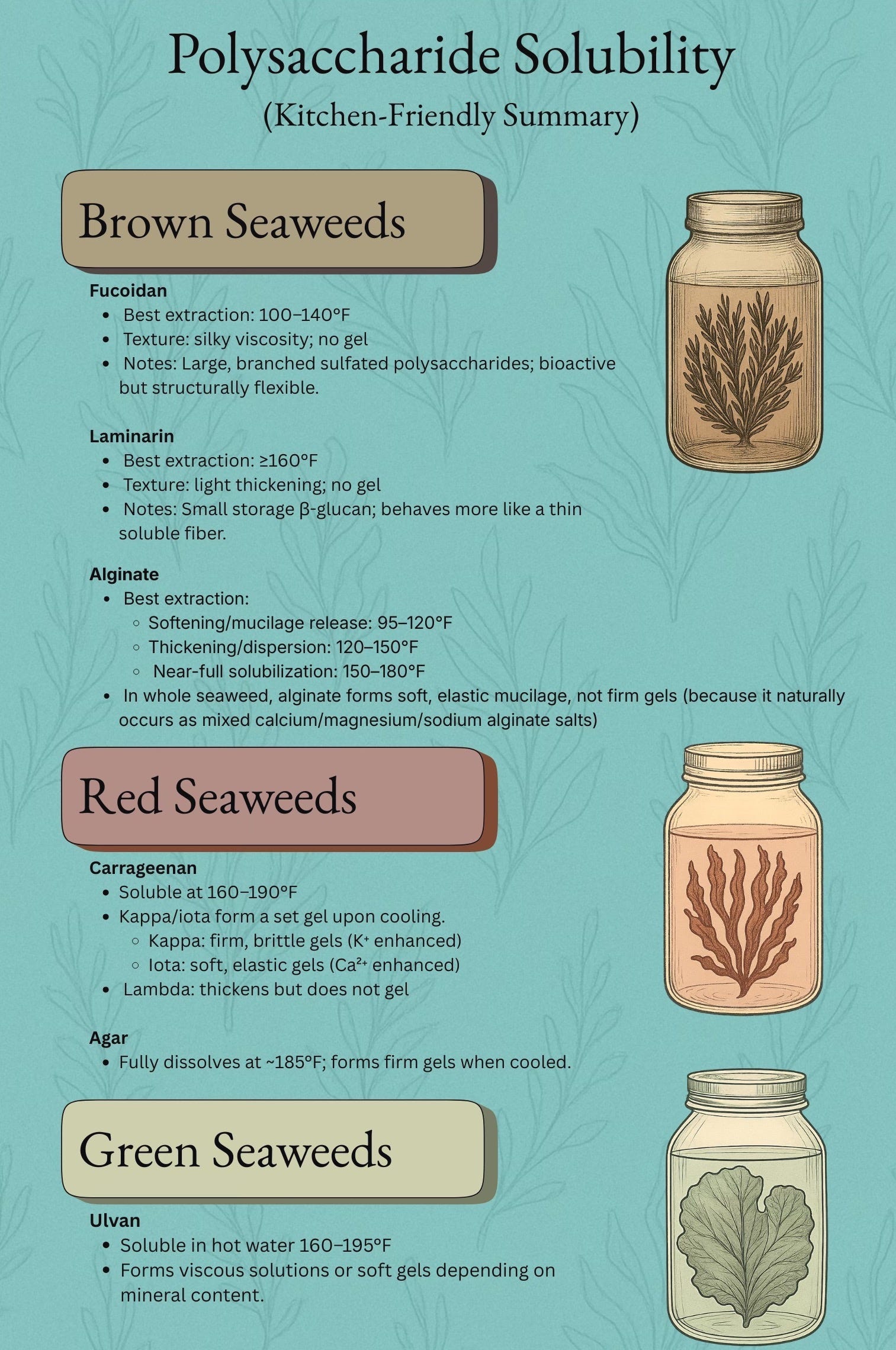 The Seaweed Apothecary - by Kristy Bredin