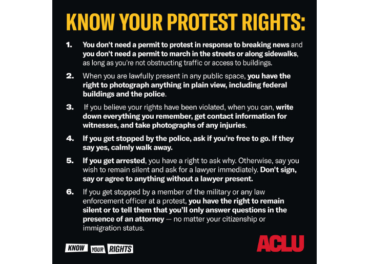 “ICE Out” and the First Amendment - by Michael Corthell