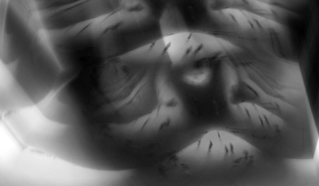 Daniel Willingham Reminded Me That Memory Is the Residue of Thought
